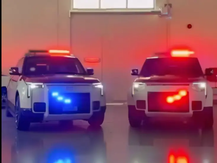 ROX Motors delivers electric police vehicles to Ras Al Khaimah Police ...